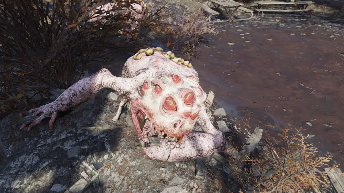 Tous les emplacements Radtoad dans Fallout 76